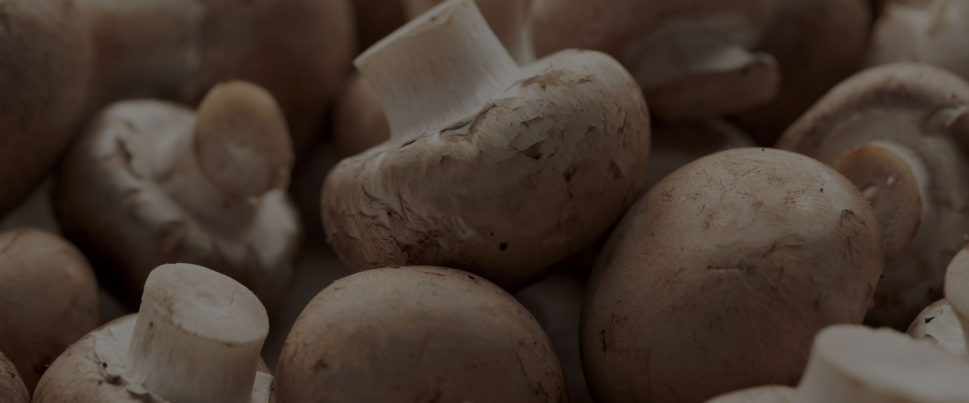 Paramount Agricultural Services