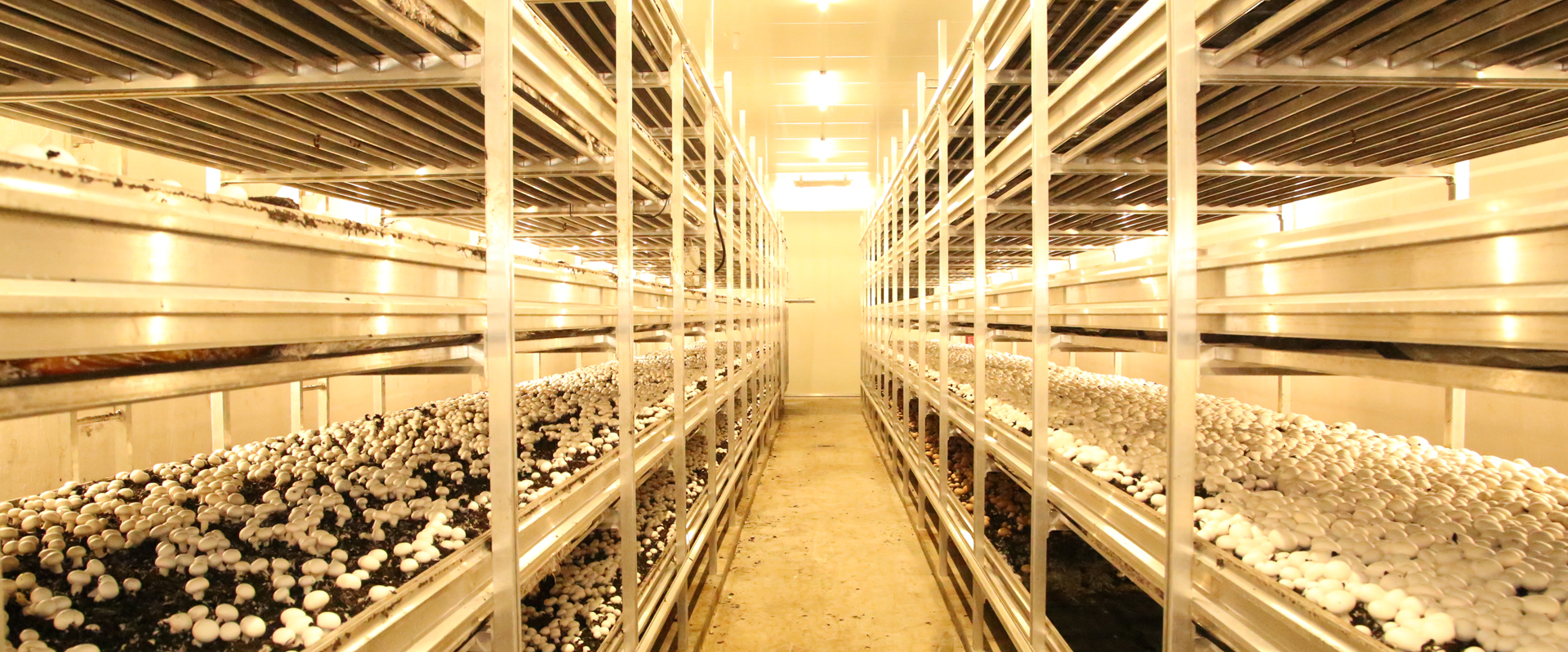 Paramount Agricultural Services